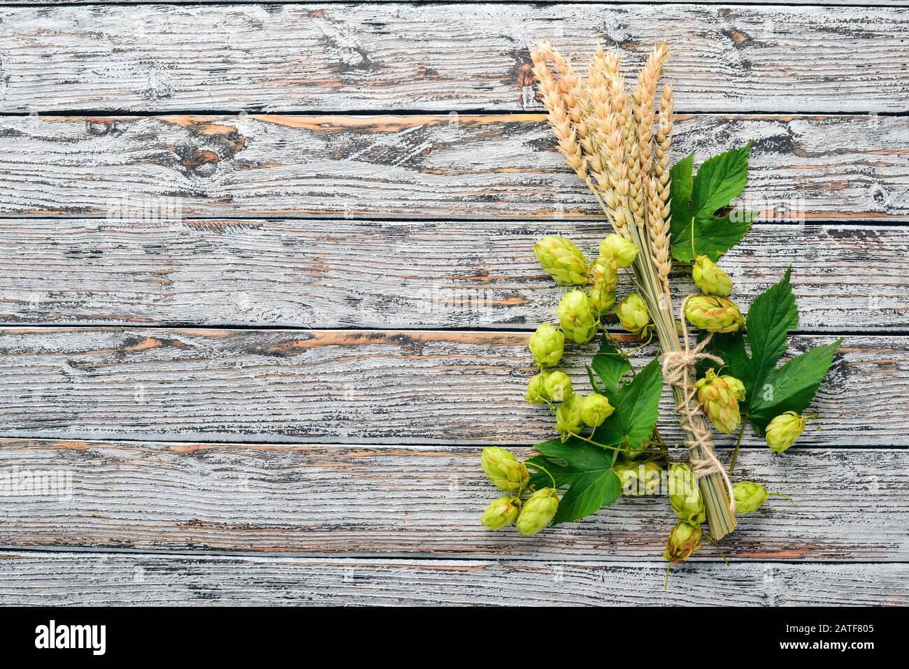 Hops and wheat. On a white wooden background. Free space for text. Top ...