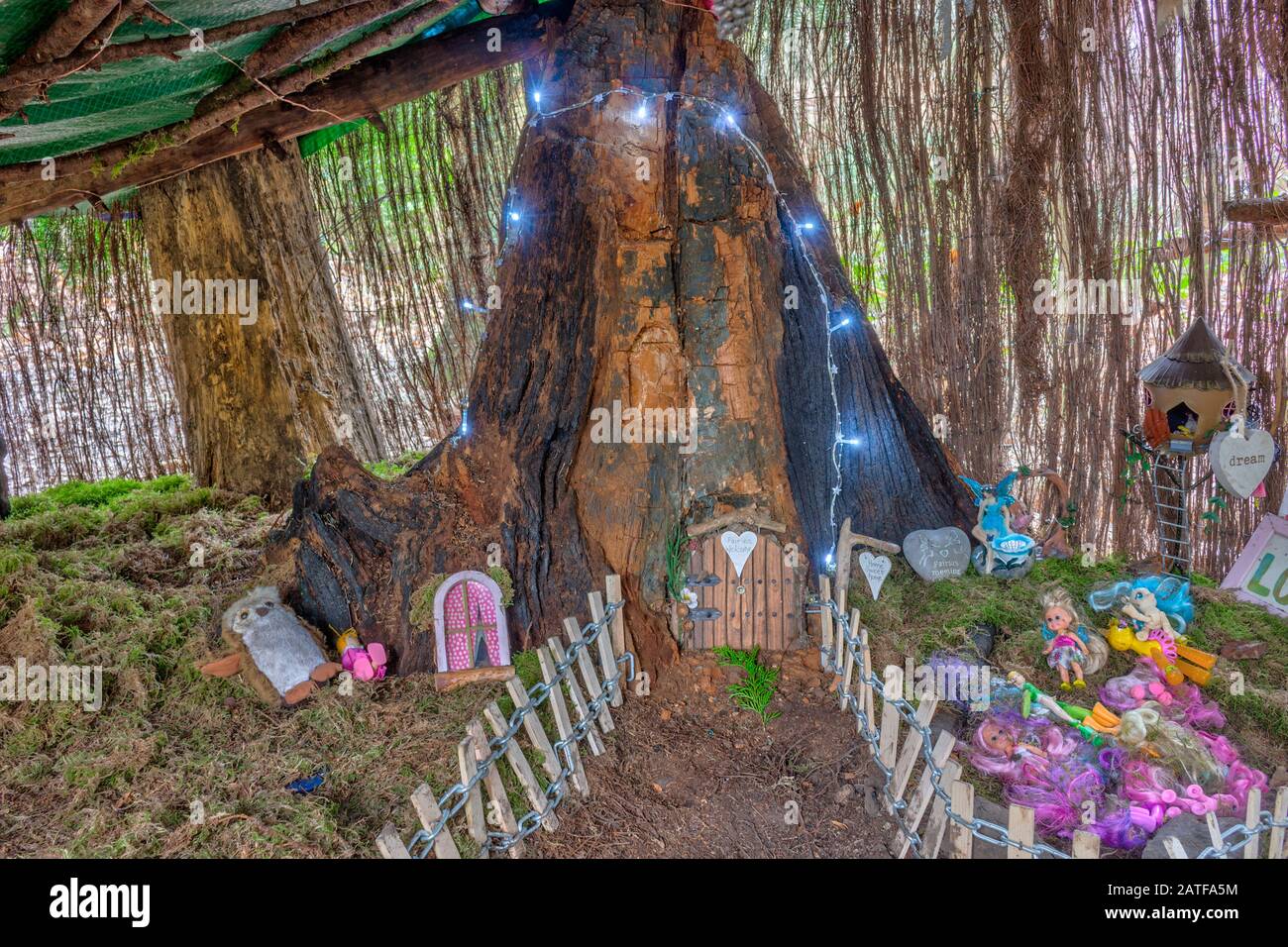 Fairy Glade High Resolution Stock Photography and Images - Alamy