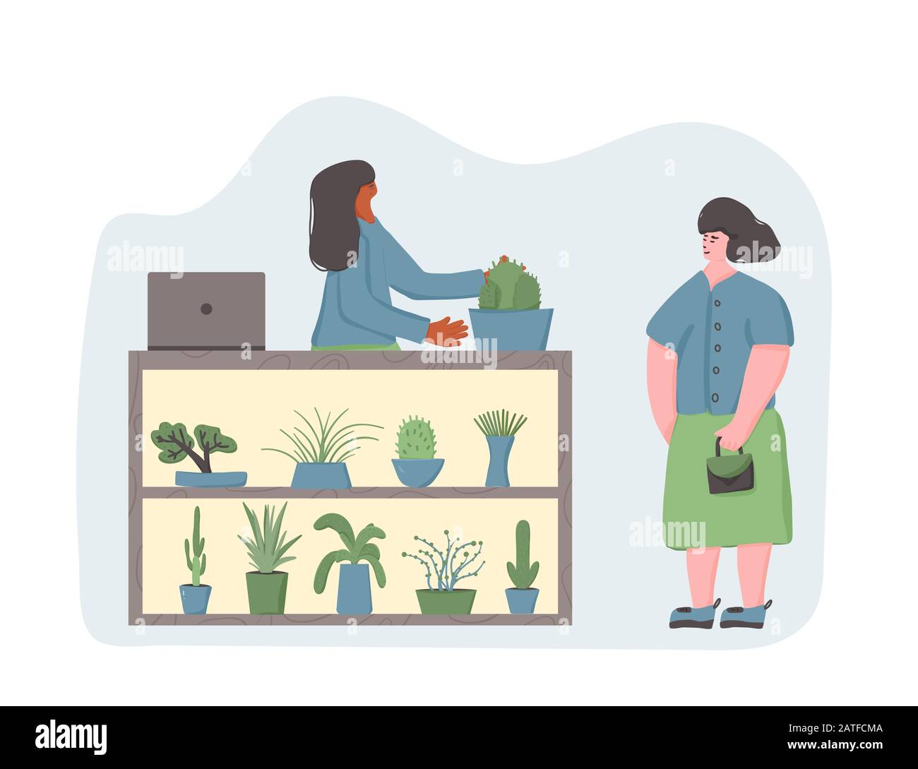 Indoor plants shop. Sale of potted house plants. Seller houseplants ...