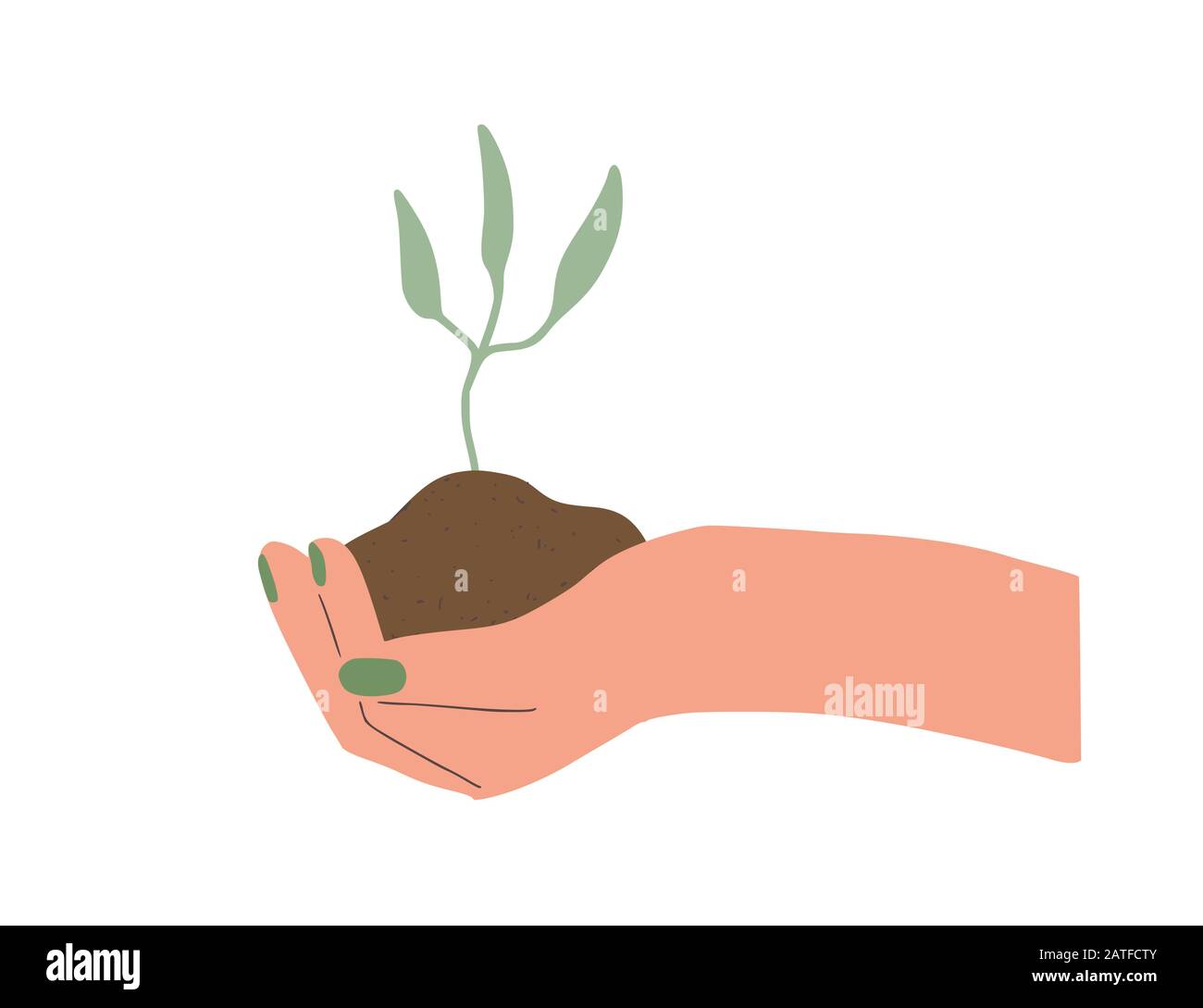 Hand holding a small leaf. Sapling in a human palm isolated on white ...