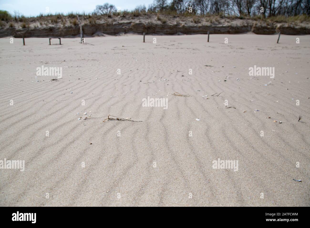 The beach of Zempin without footprints with fine, wind-generated ...