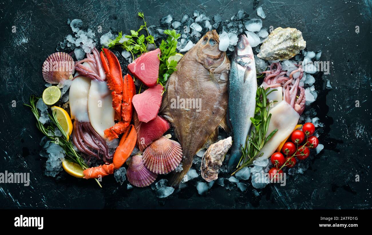Fresh fish and seafood. Healthy food. Flounder, lobster, squid, tuna ...