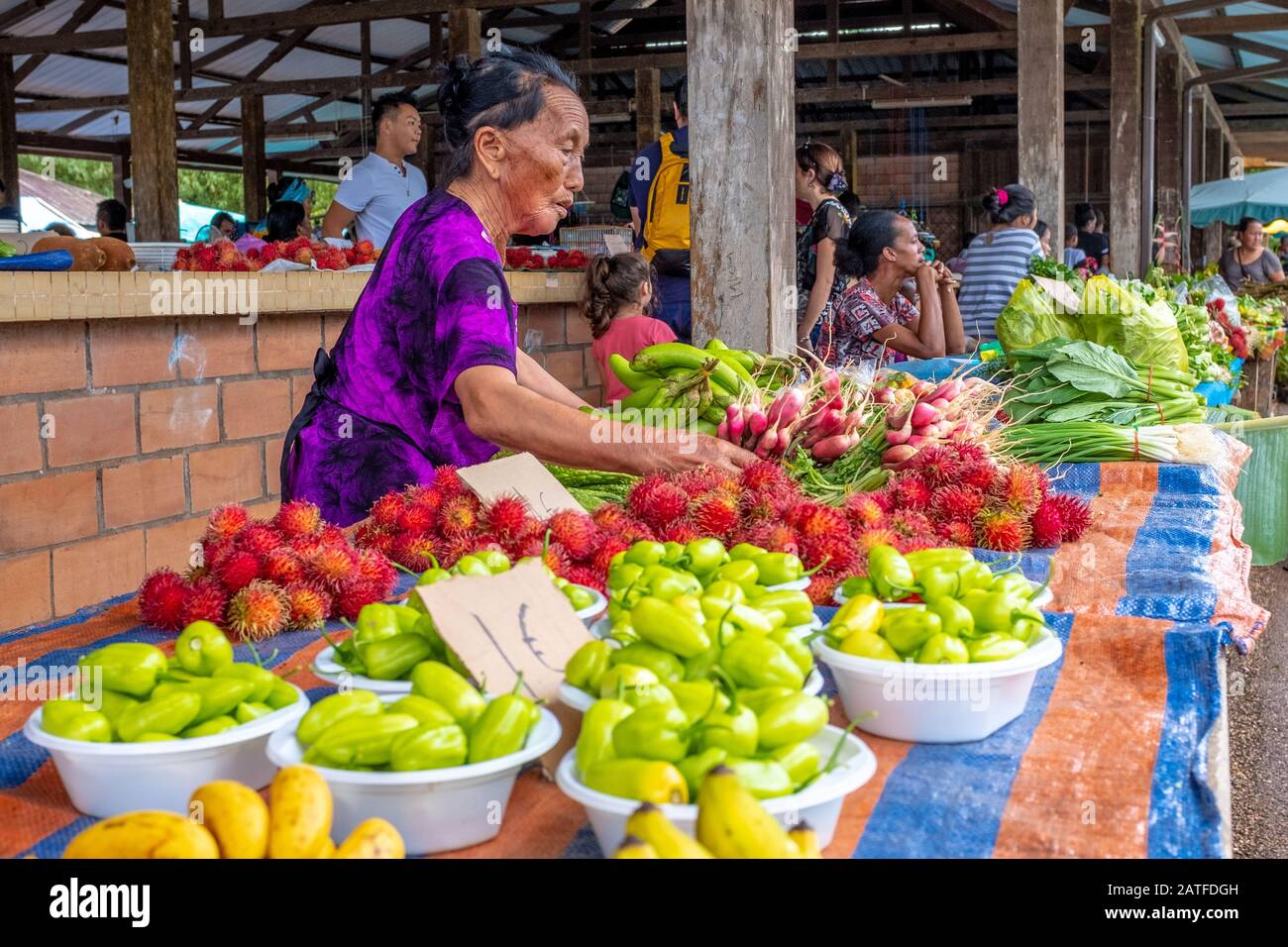 Cacao cultivation hi-res stock photography and images - Alamy