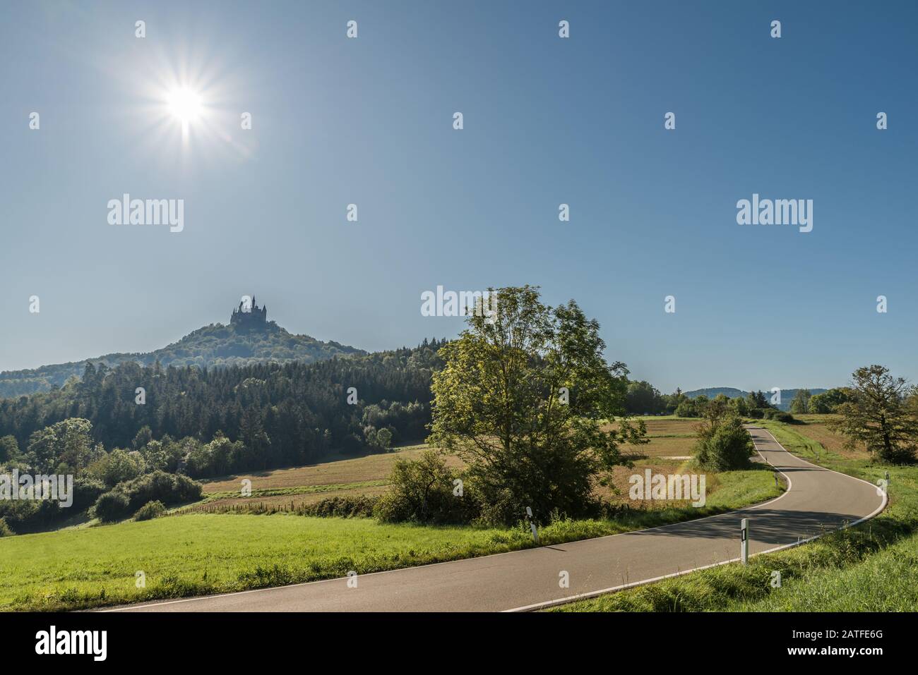 Hohenzollern Castle in Bisingen with blue sky and green meadow, Baden ...