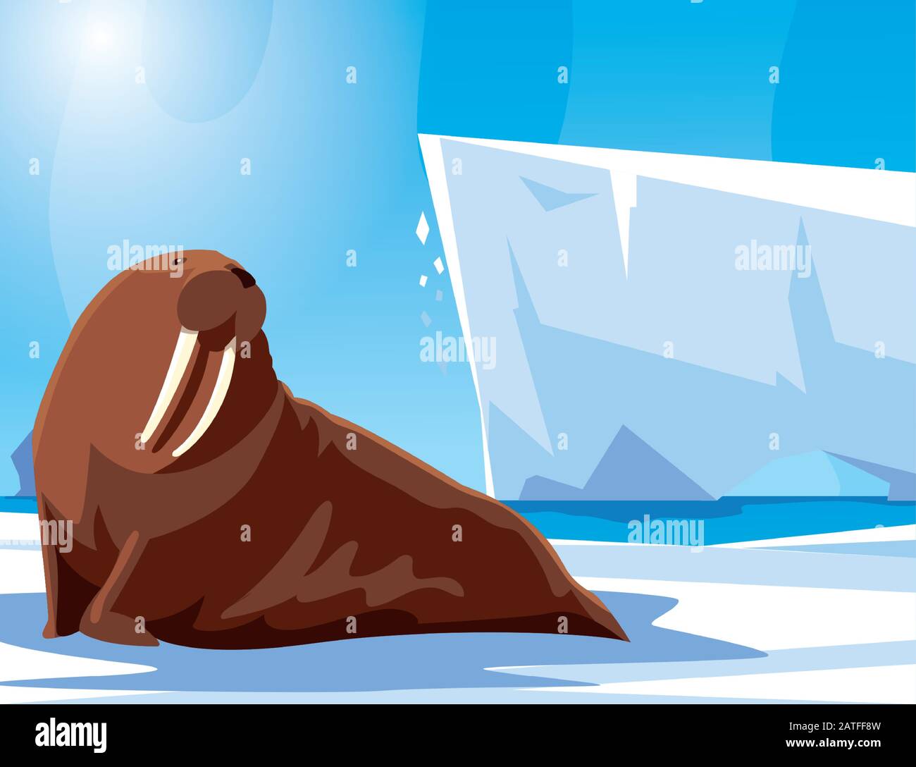 walrus at the north pole, arctic landscape vector illustration design ...