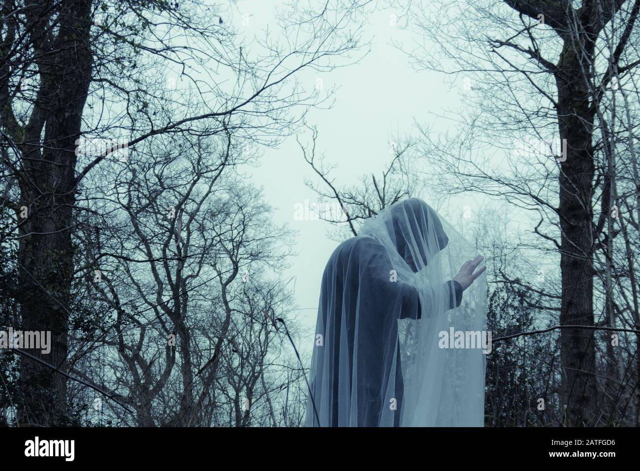 Hooded man and woods hi-res stock photography and images - Alamy