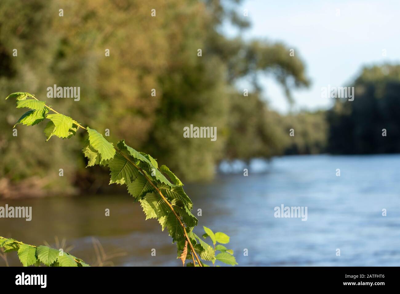 Mura River Landscape And Flow View. izakovci, slovenia Stock Photo - Alamy