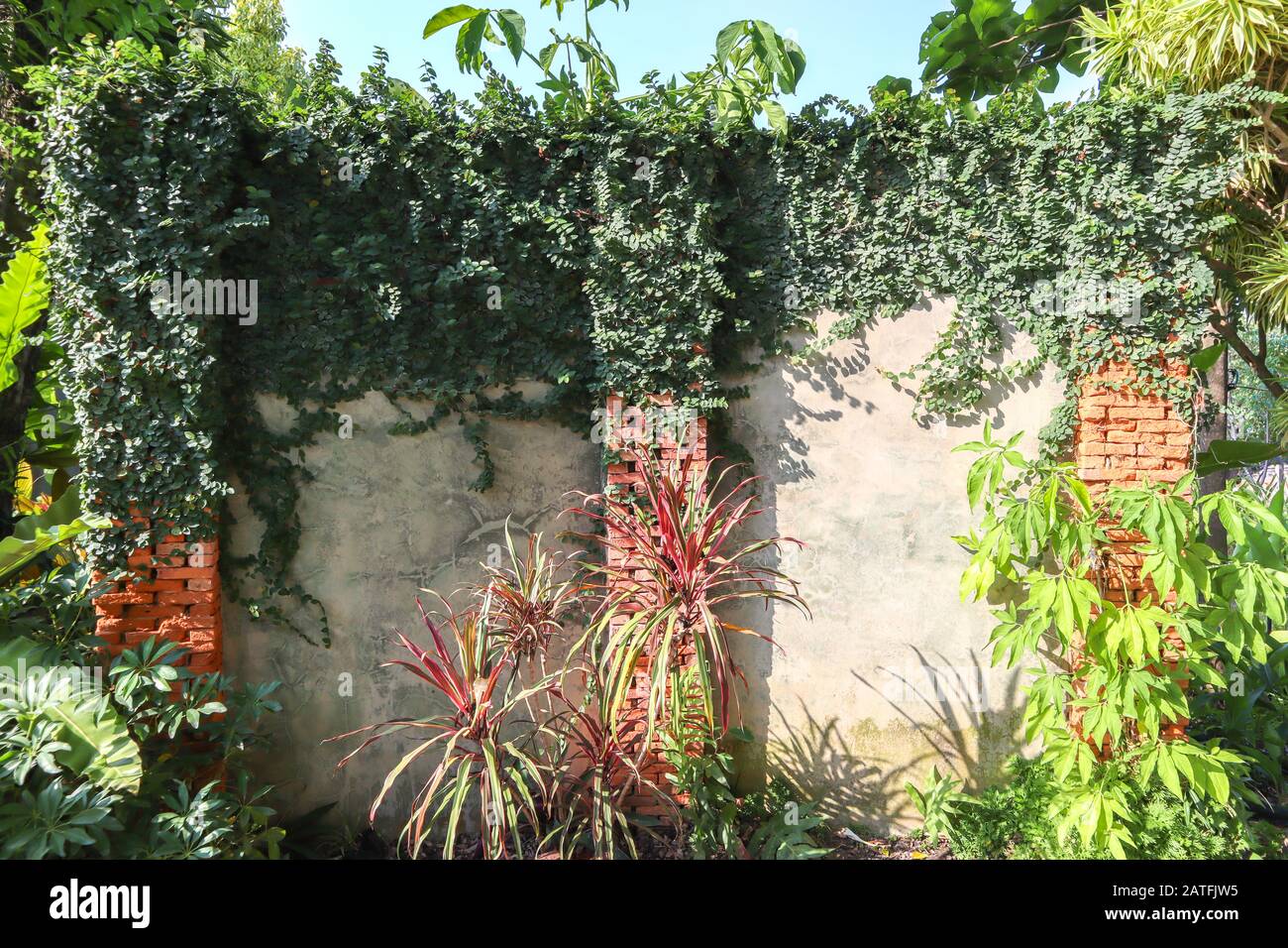 Concrete walls are covered with trees and sunshine on the right Stock ...