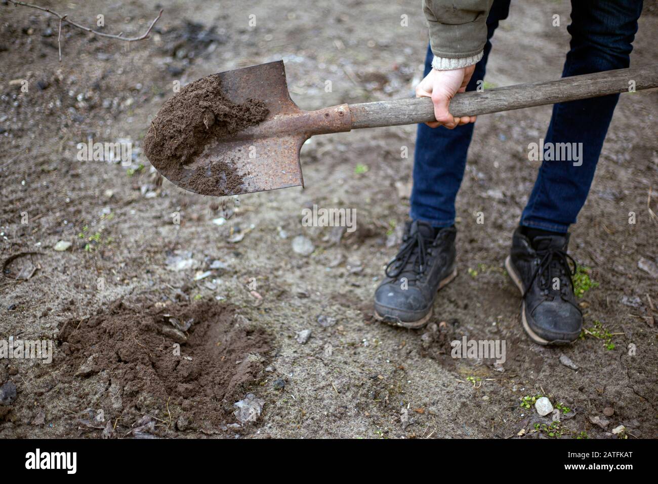 Farmer planting trees hi-res stock photography and images - Alamy