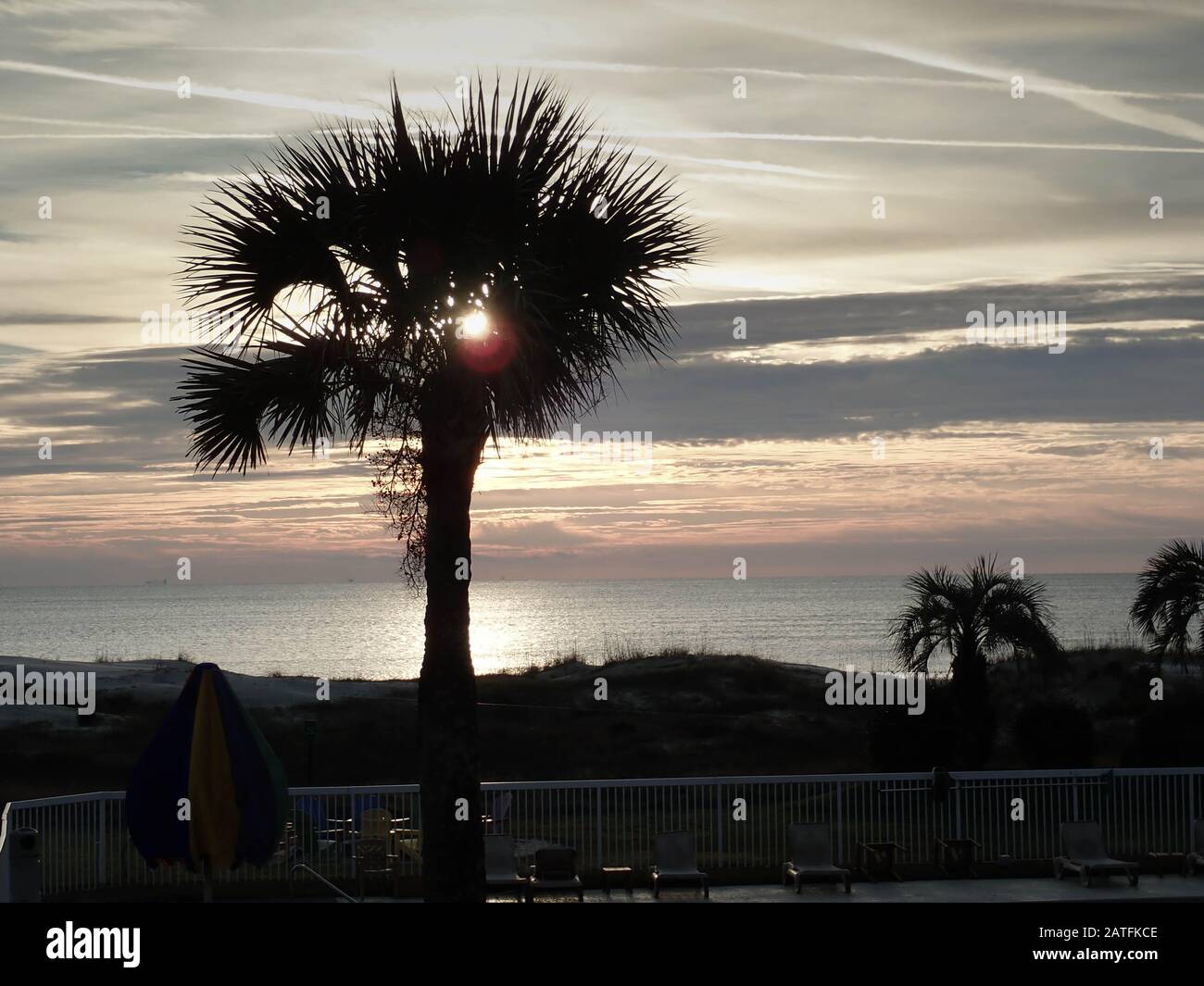Palm Tree in the Morning Sunrise Stock Photo - Alamy