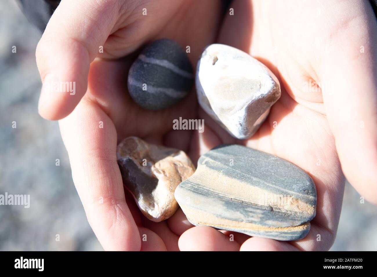 A woman's hand holding stones. Natural stones from beach Stock Photo ...