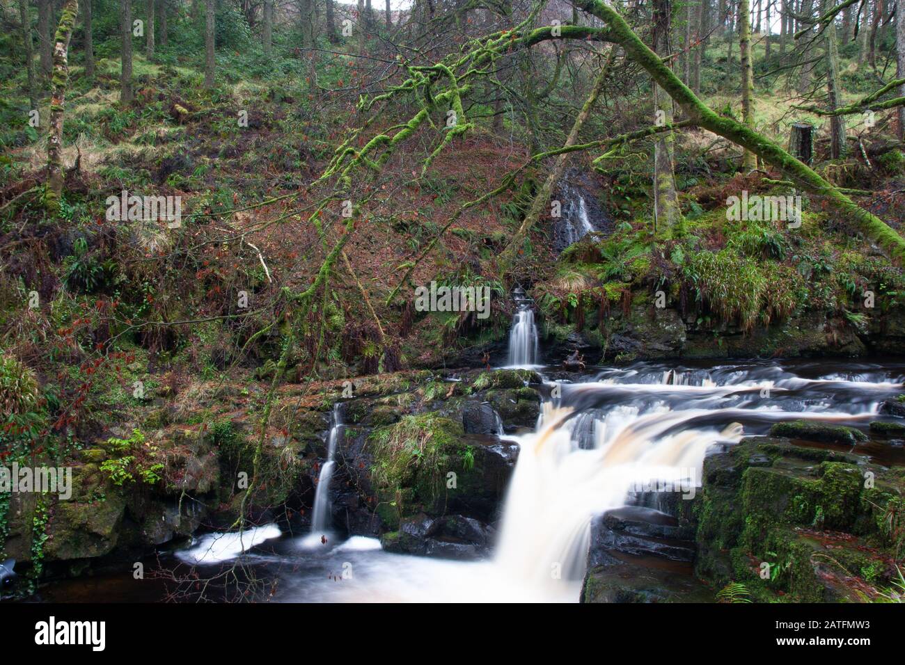 forest waterfall and rocks covered with moss Northen Ireland Stock ...