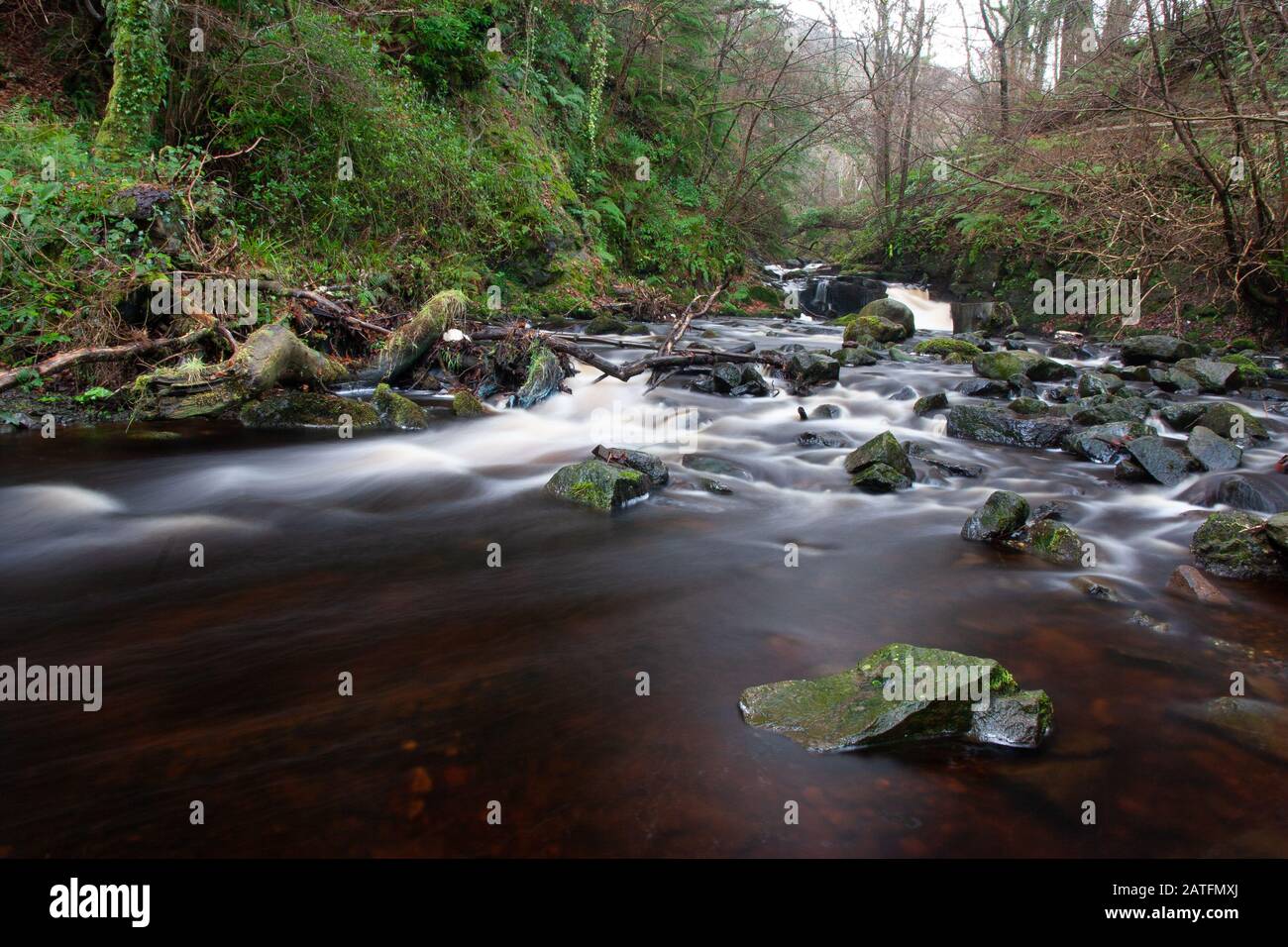 forest waterfall and rocks covered with moss Northen Ireland Stock ...