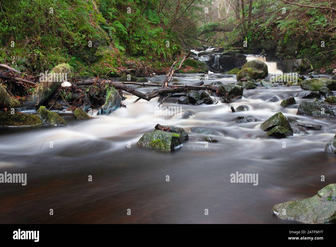 forest waterfall and rocks covered with moss Northen Ireland Stock ...