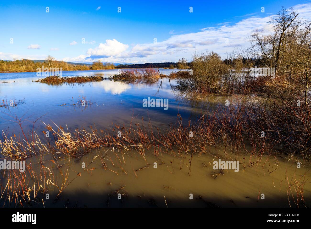 Farmer field flooded after rain storm Stock Photo - Alamy