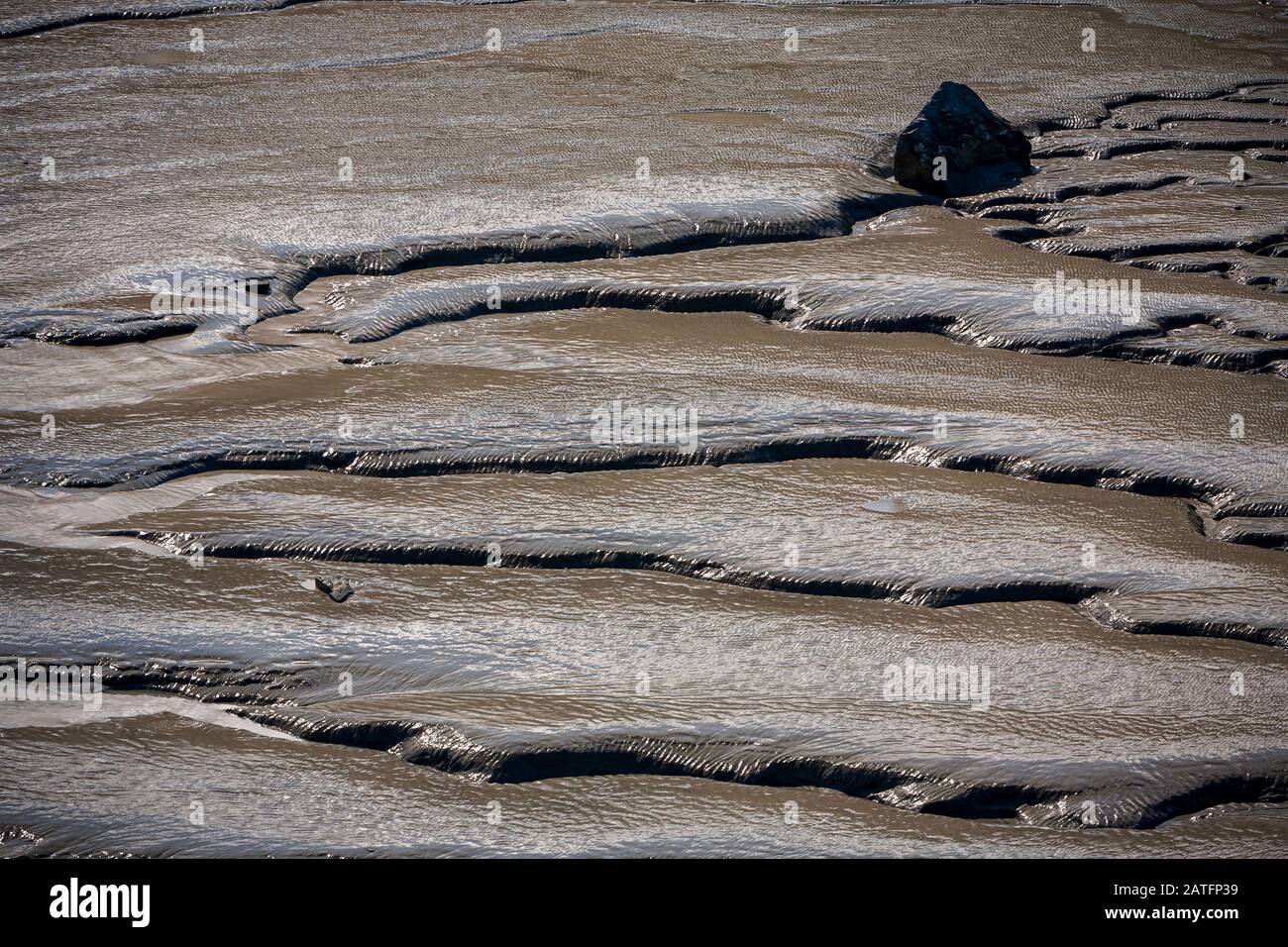 Patterns created in mud by receding tide, Gull Rock Trail Hope, Alaska ...