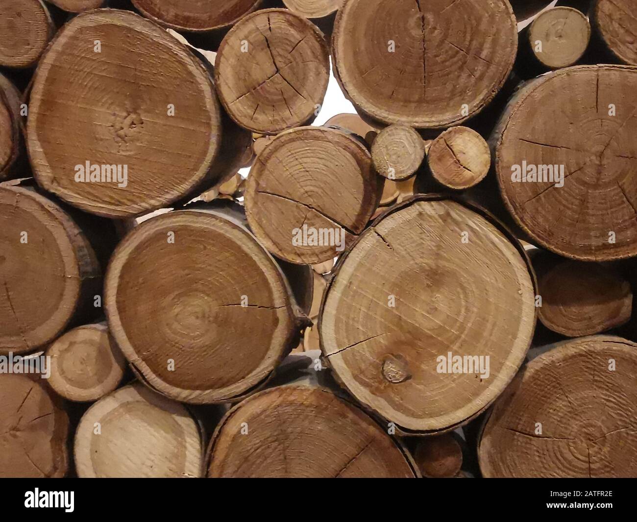 Section through logs and branches showing woodgrain rings Stock Photo ...