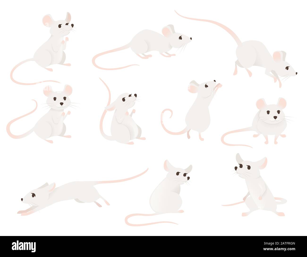 Set of gray mouse in different poses cute small mammal animal flat ...