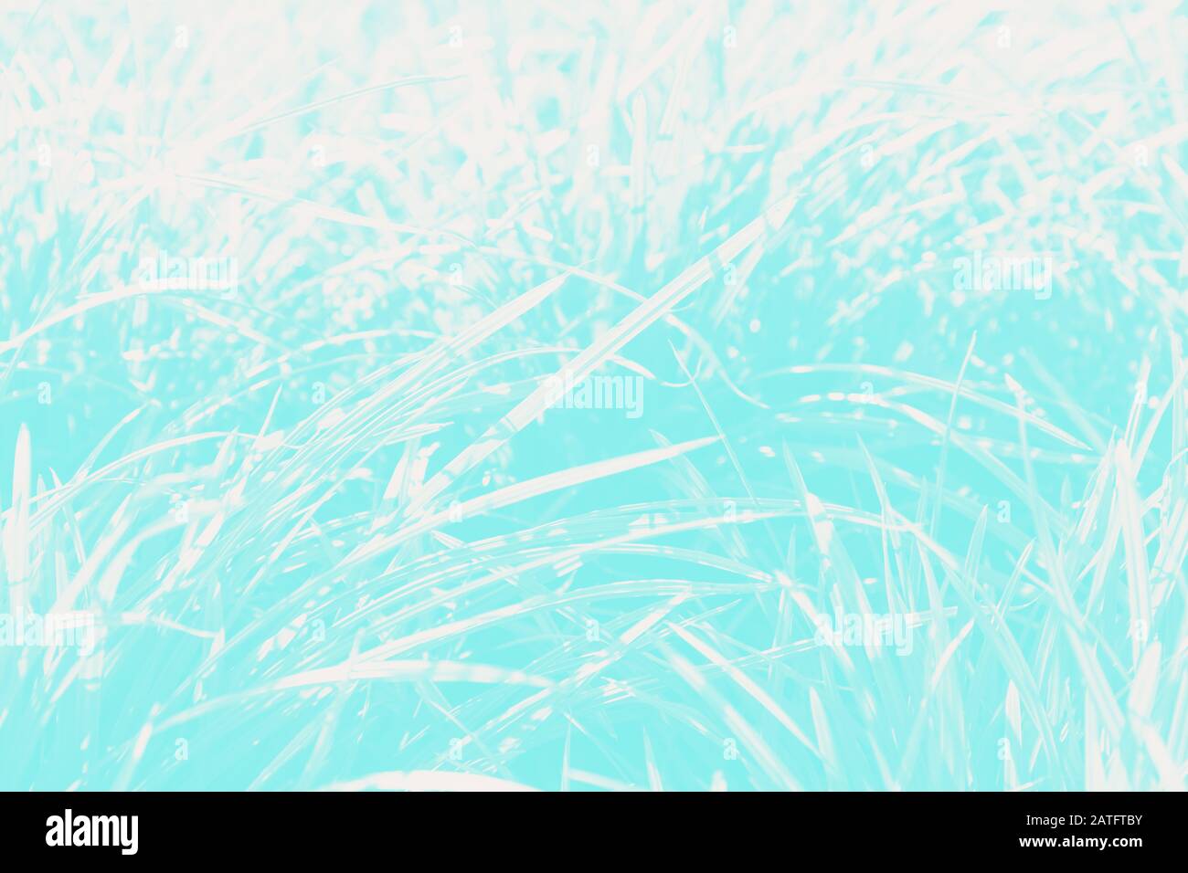 Turquoise aqua aquamarine and white color gradient background, striped ...