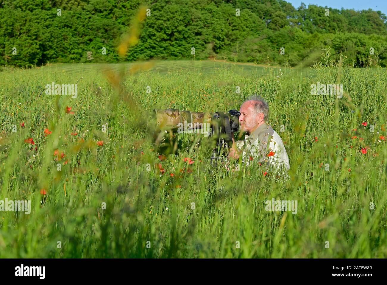 Wildlife photographer in the fields Stock Photo - Alamy