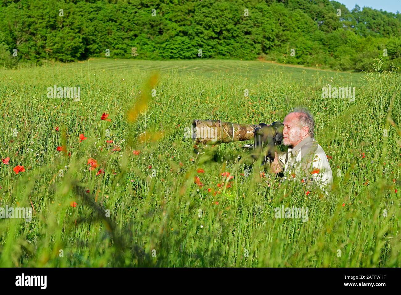 Wildlife photographer in the fields Stock Photo - Alamy