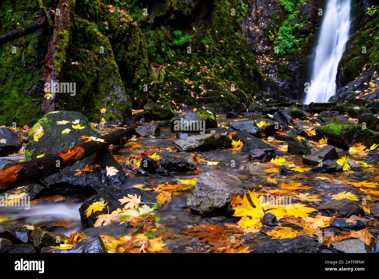 Goldstream provincial park hiking hi-res stock photography and images ...