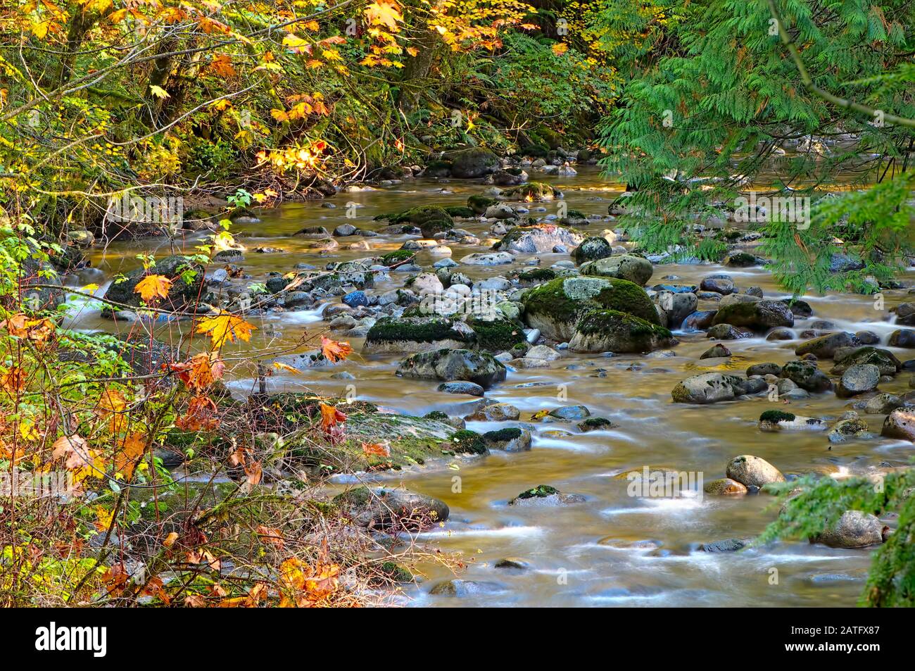 A fall photograph of Kanaka Creek in Maple Ridge, B. C., Canada and ...