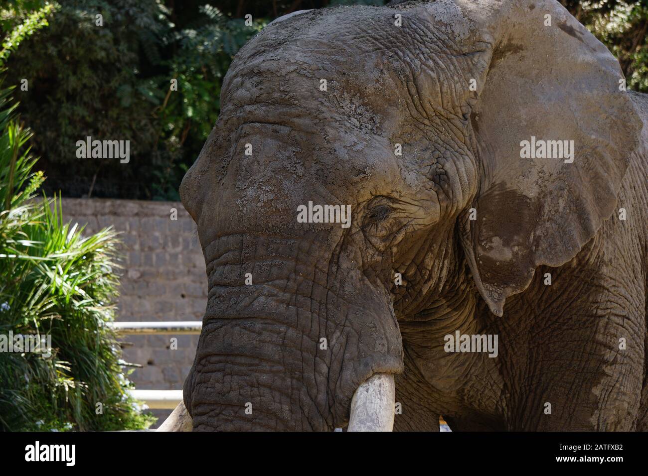 Sub saharan region hi-res stock photography and images - Alamy