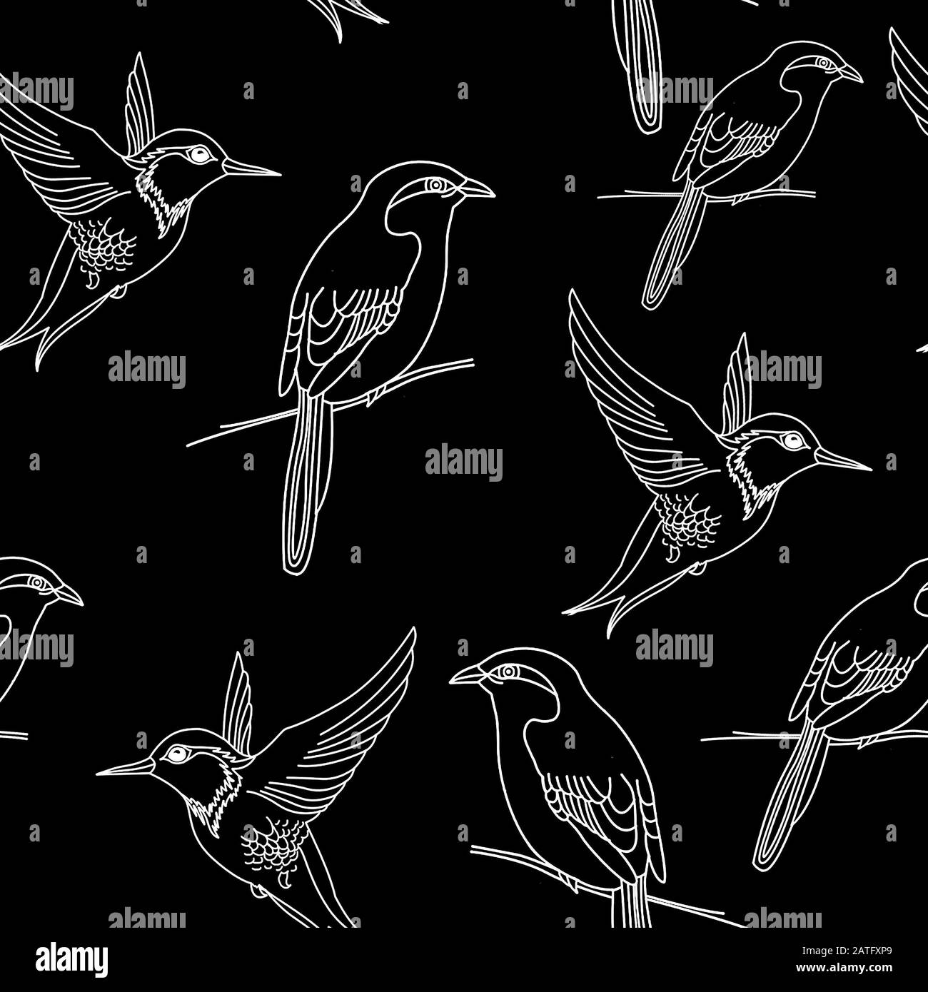 Hand drawn birds contour pattern. Seamless flying bird illustration on ...