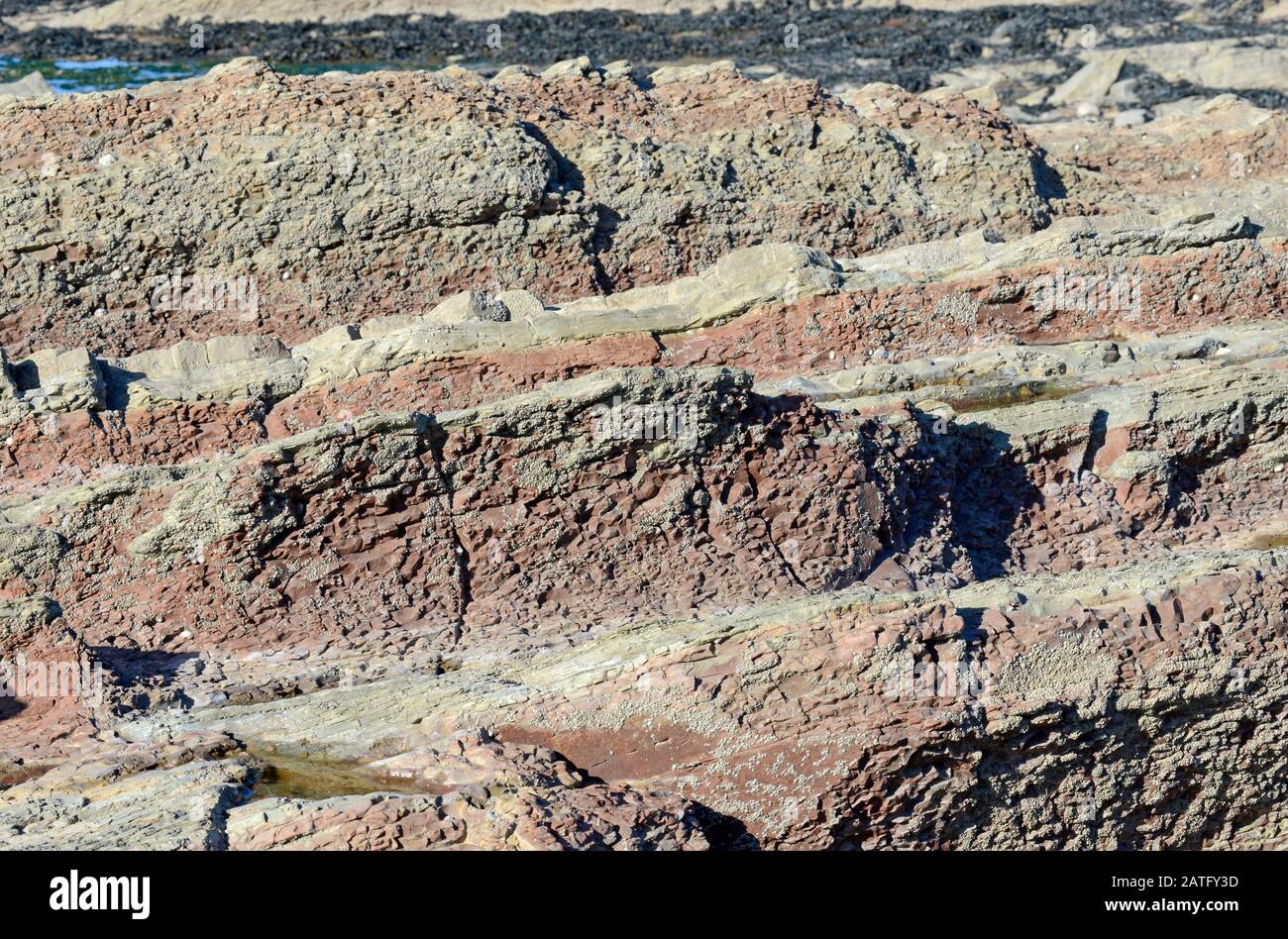 Mercia mudstone sedimentary rocks at Helwell Bay in the Severn estuary ...