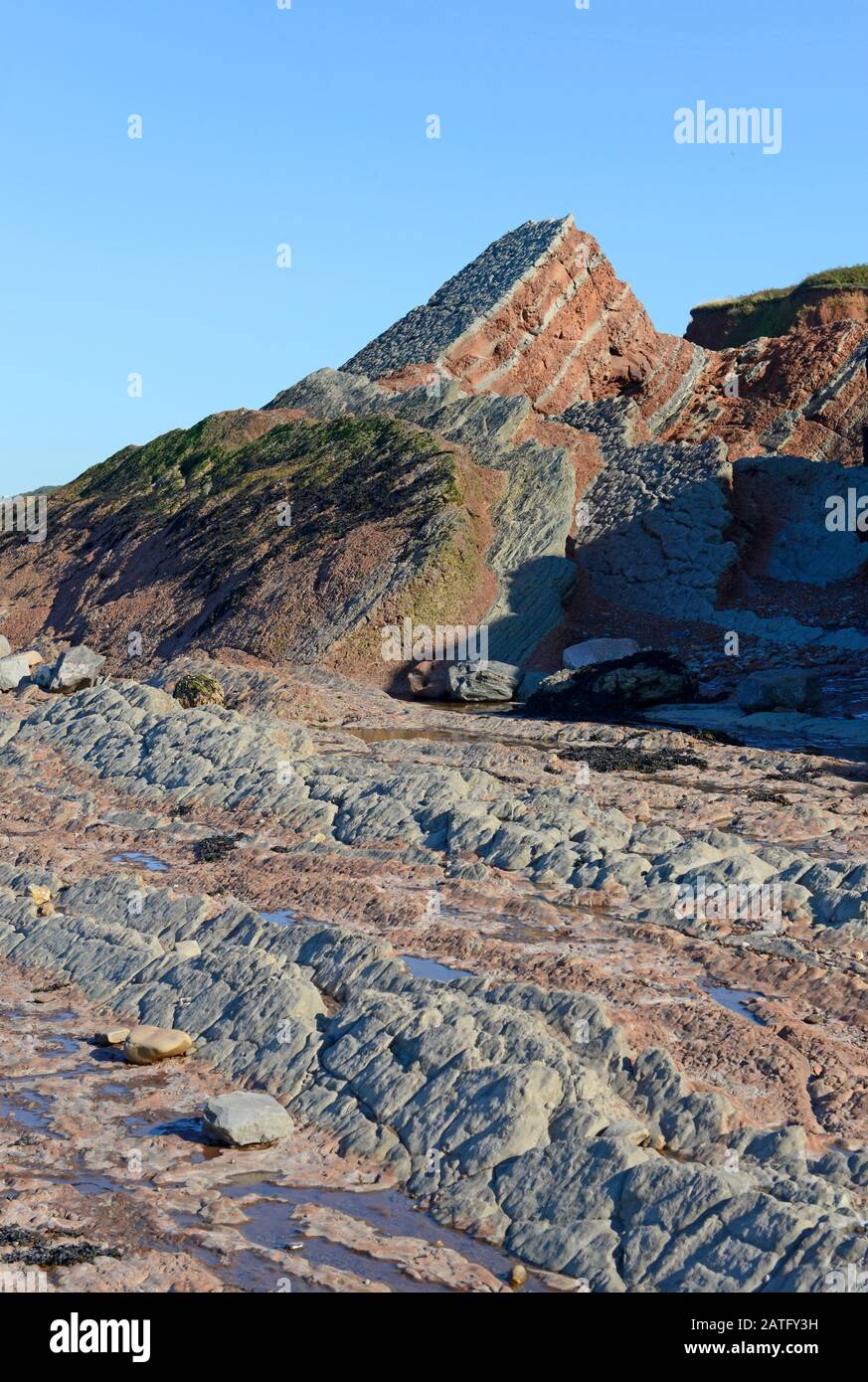 Mercia mudstone sedimentary rocks at Helwell Bay in the Severn estuary ...