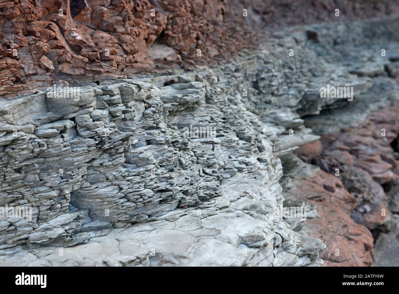 Mercia mudstone sedimentary rocks at Helwell Bay in the Severn estuary ...