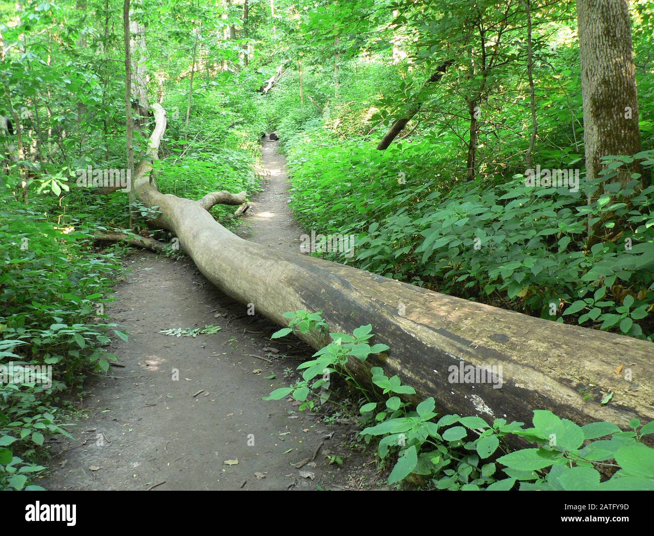 John Bryan State Park, Ohio Stock Photo - Alamy