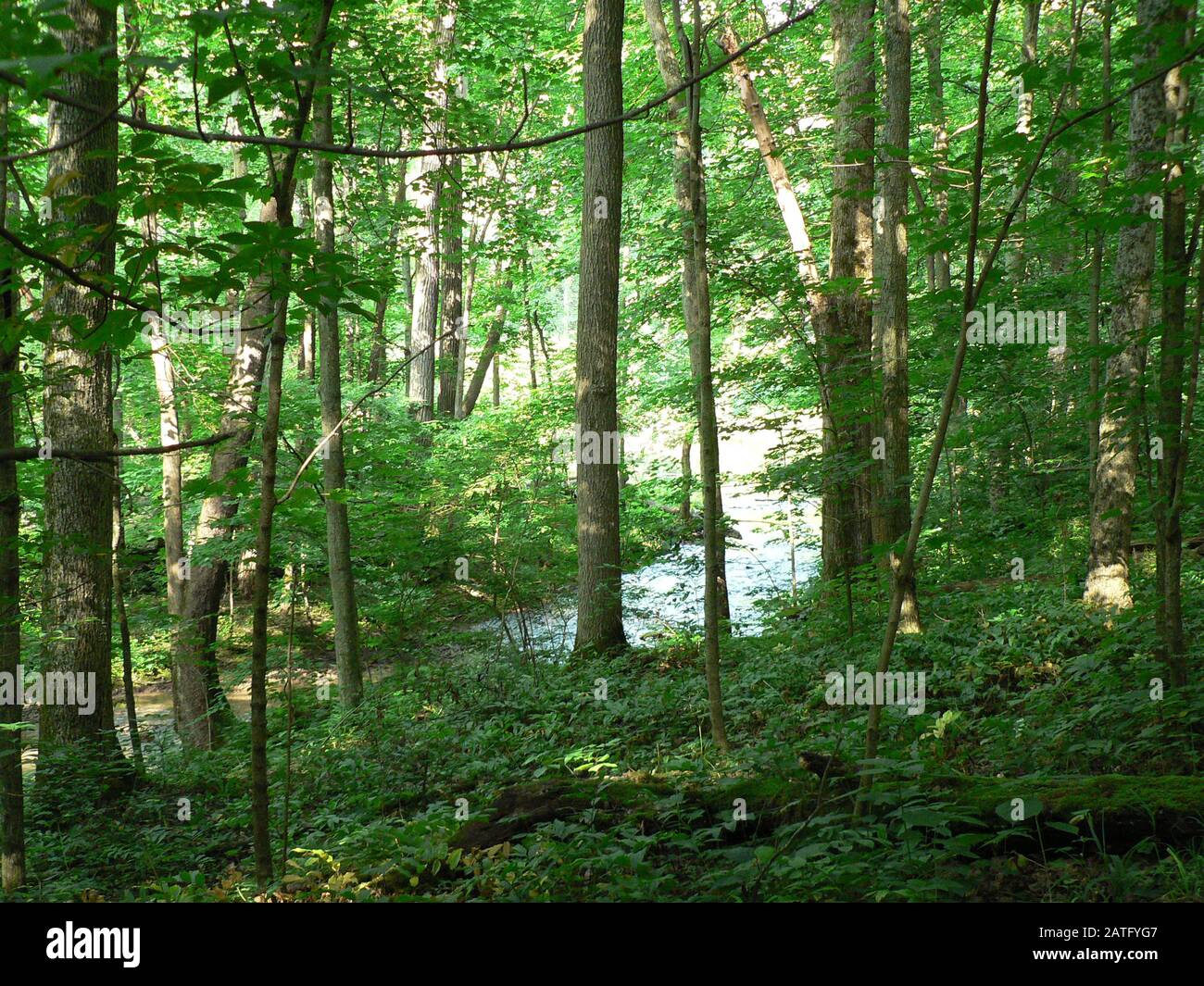 John Bryan State Park, Ohio Stock Photo - Alamy