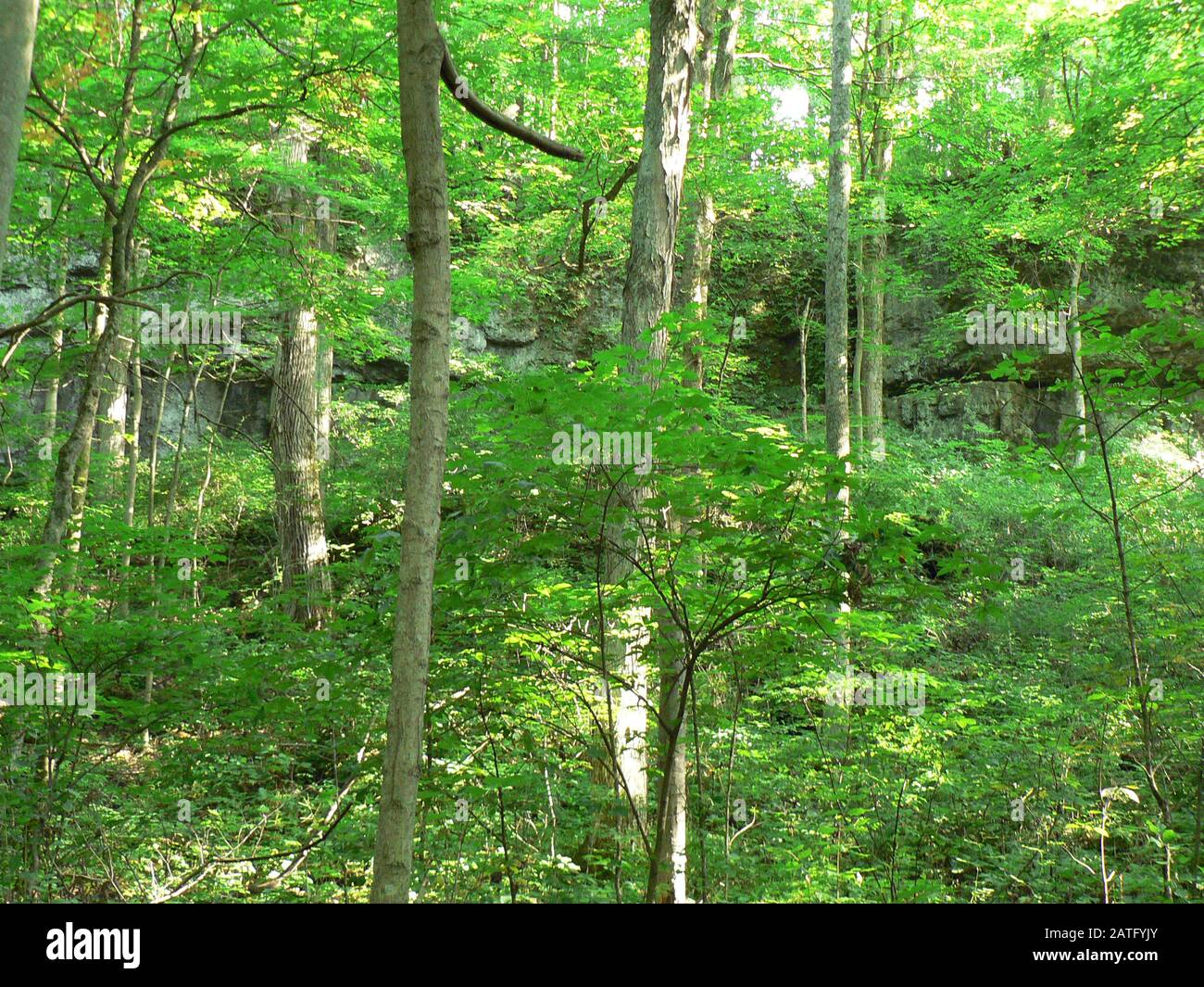 John bryan state park ohio hi-res stock photography and images - Alamy
