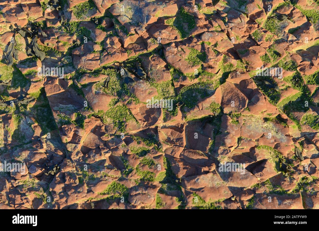 Mudstone High Resolution Stock Photography and Images - Alamy