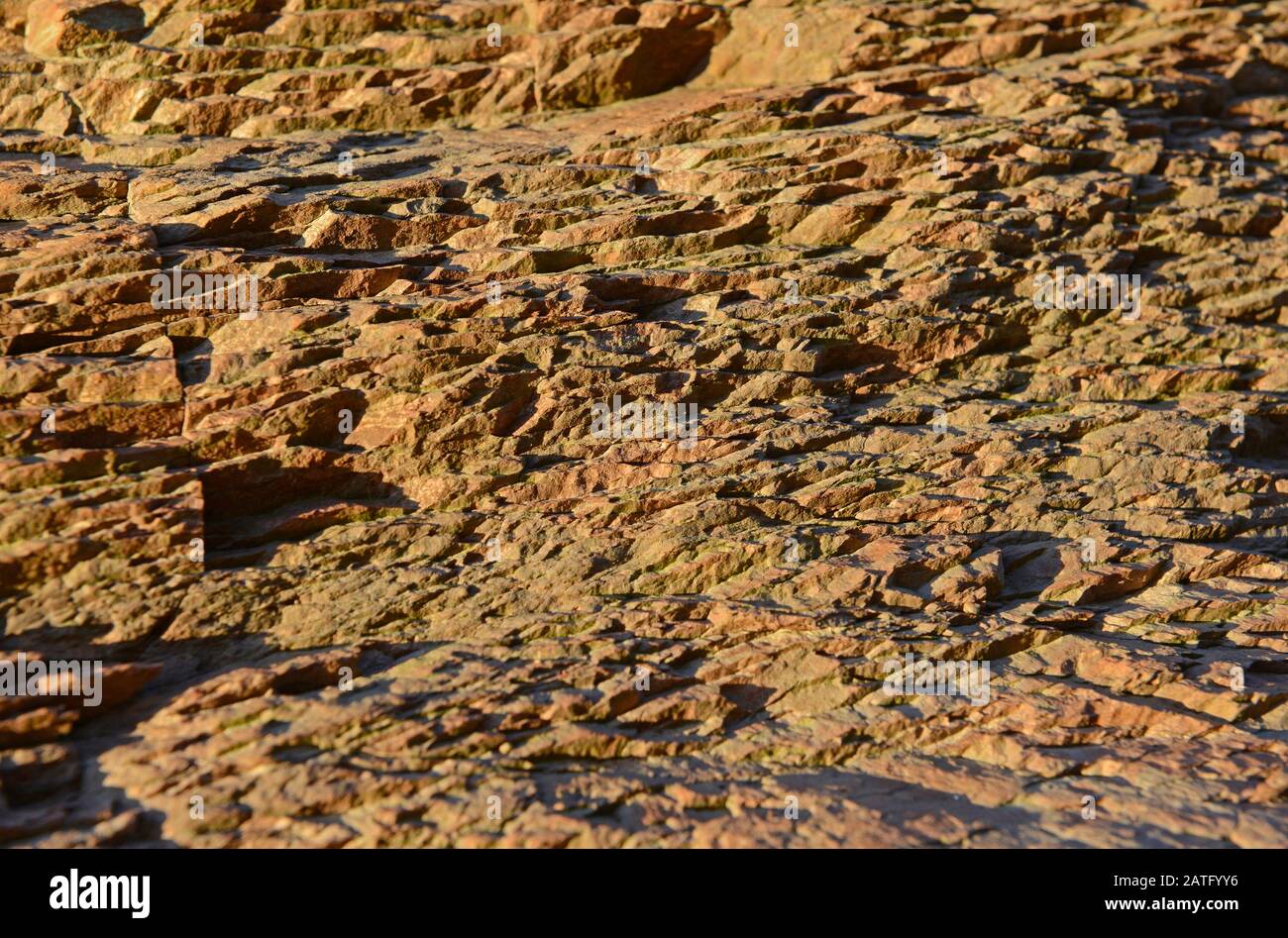 View of mudstone rocks at Watchet, Somerset, UK Stock Photo - Alamy