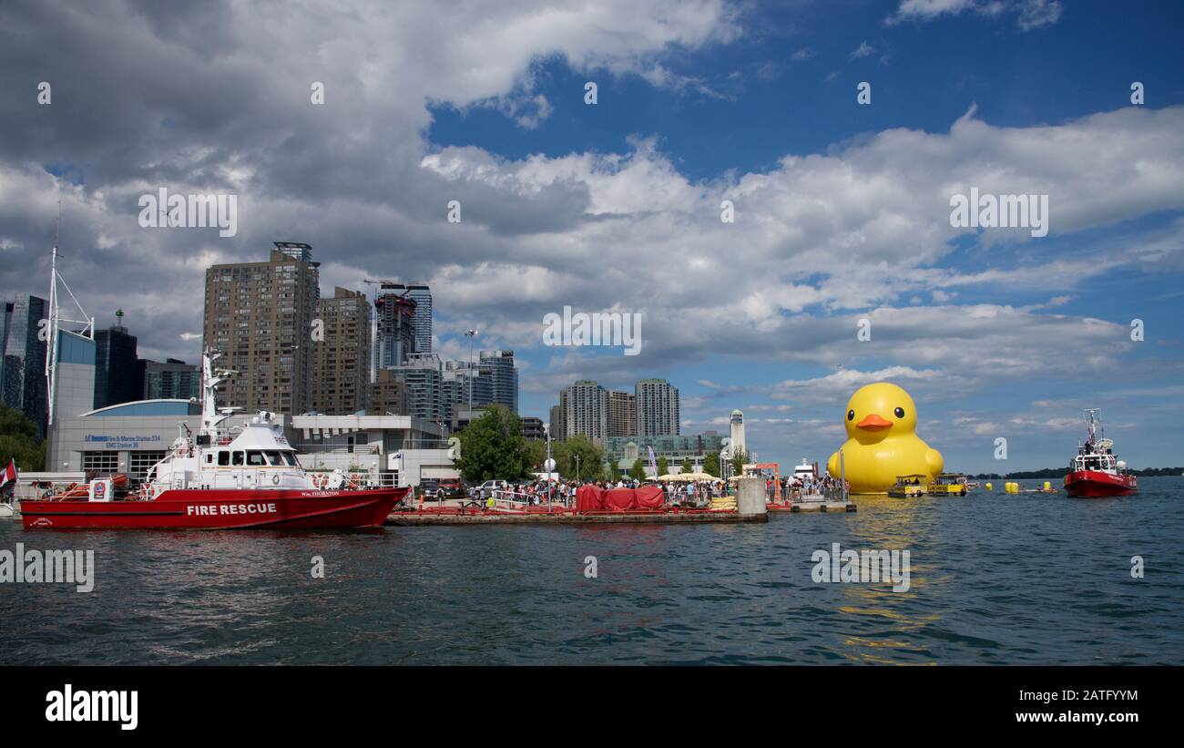 “Rubber Duck” floating placidly in the harbor of Toronto city ...