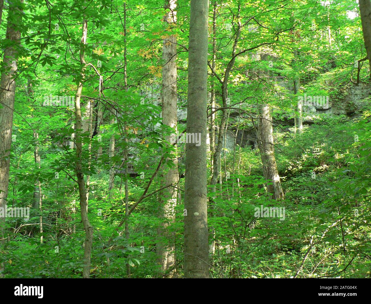 Cliff, John Bryan State Park, Ohio Stock Photo - Alamy