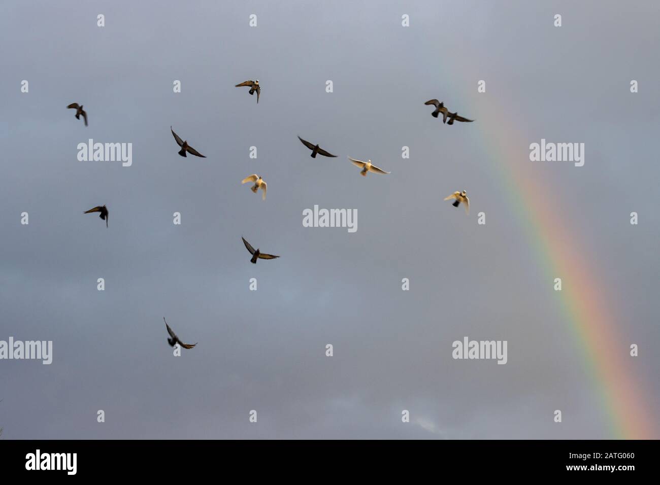 Grace rainbow hi-res stock photography and images - Alamy
