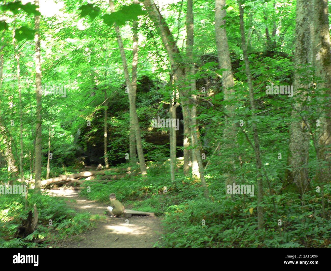 Cliff, John Bryan State Park, Ohio Stock Photo - Alamy