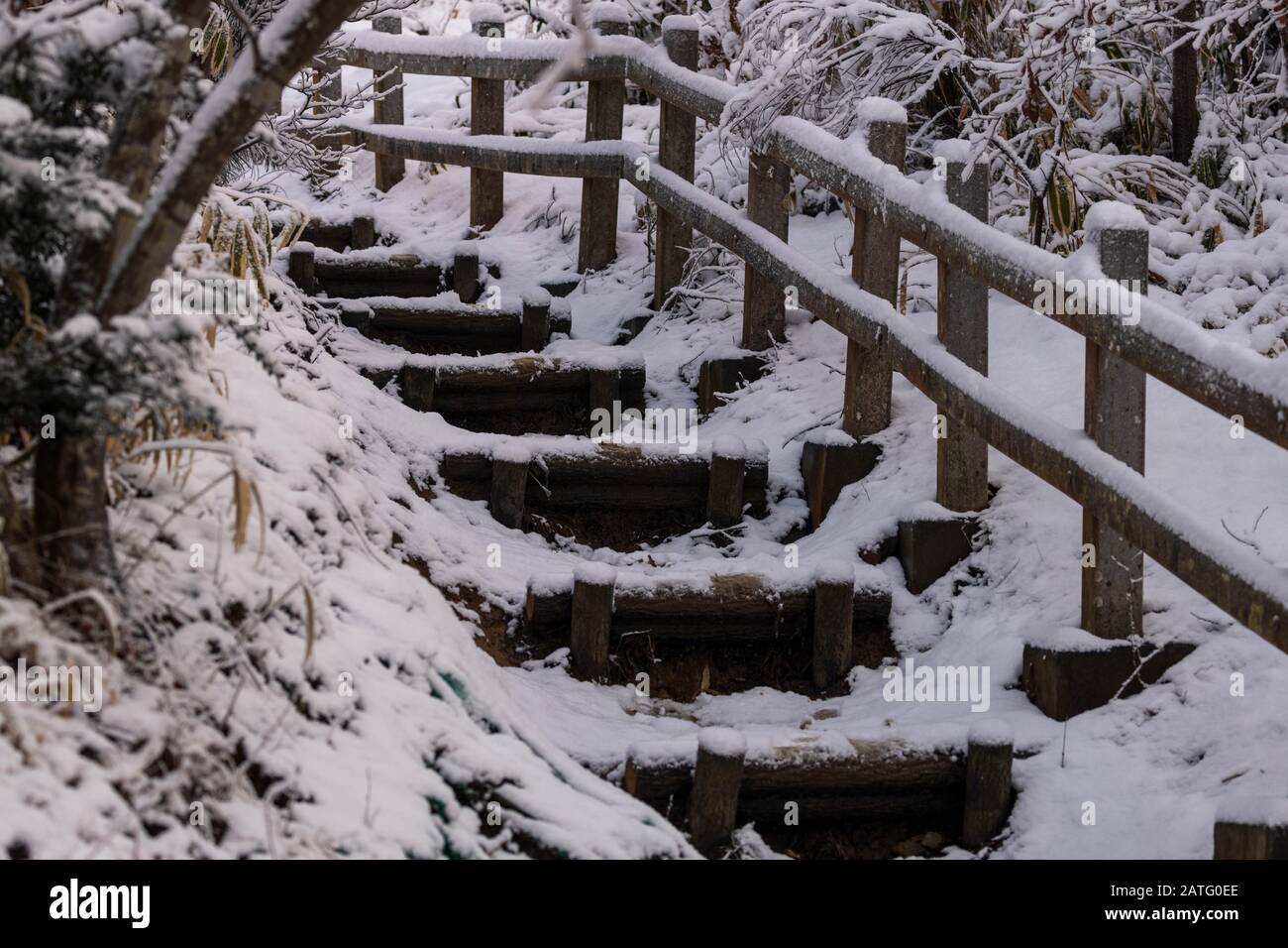 Snow covered stairs and railing leading up hill through natural terrain ...