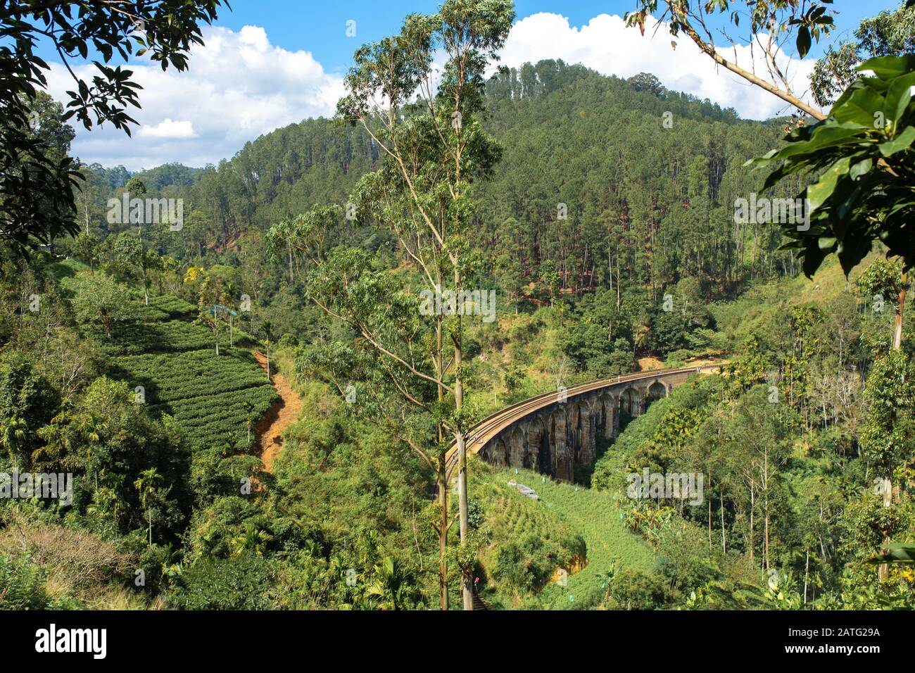 The famous nine-arch bridge of the railway in the jungle in Sri Lanka ...