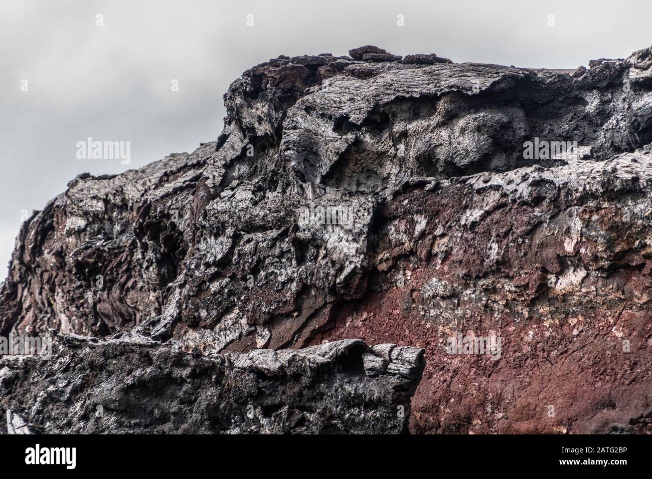 Lava Shell High Resolution Stock Photography and Images - Alamy