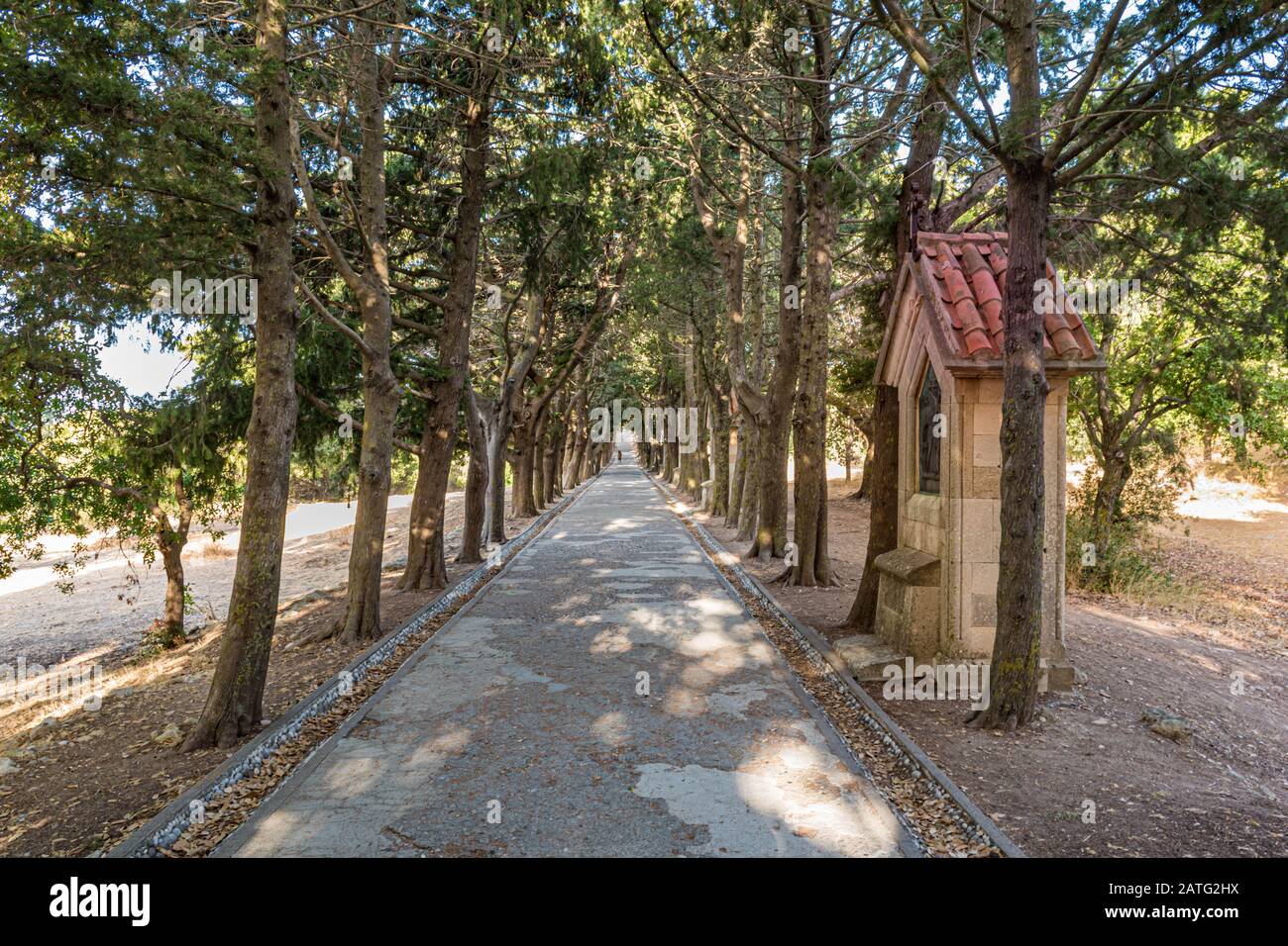 Cedar hill greece hi-res stock photography and images - Alamy