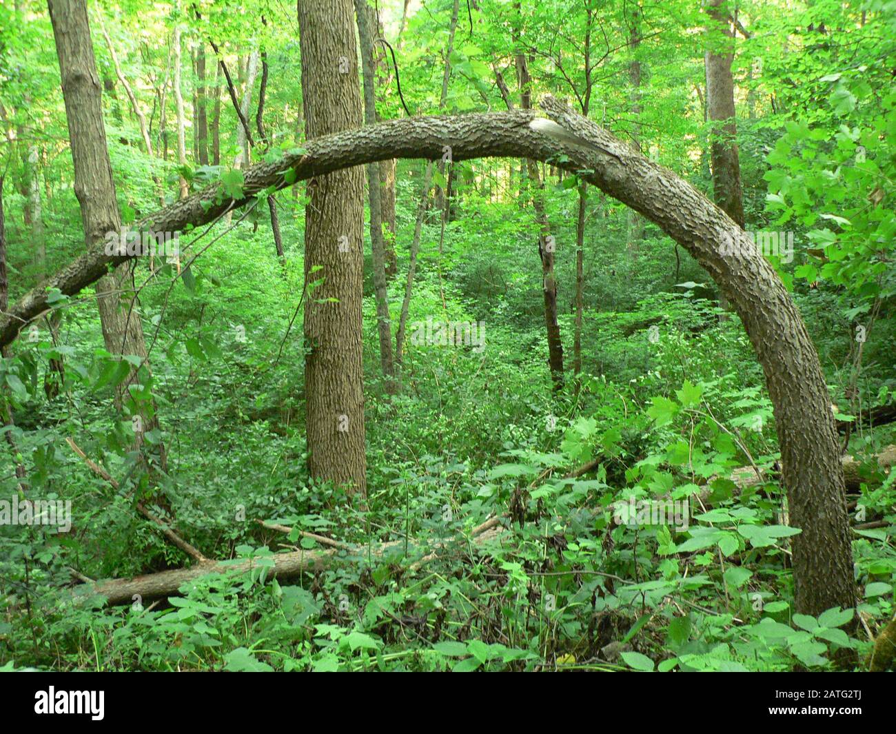 John Bryan State Park, Ohio Stock Photo - Alamy