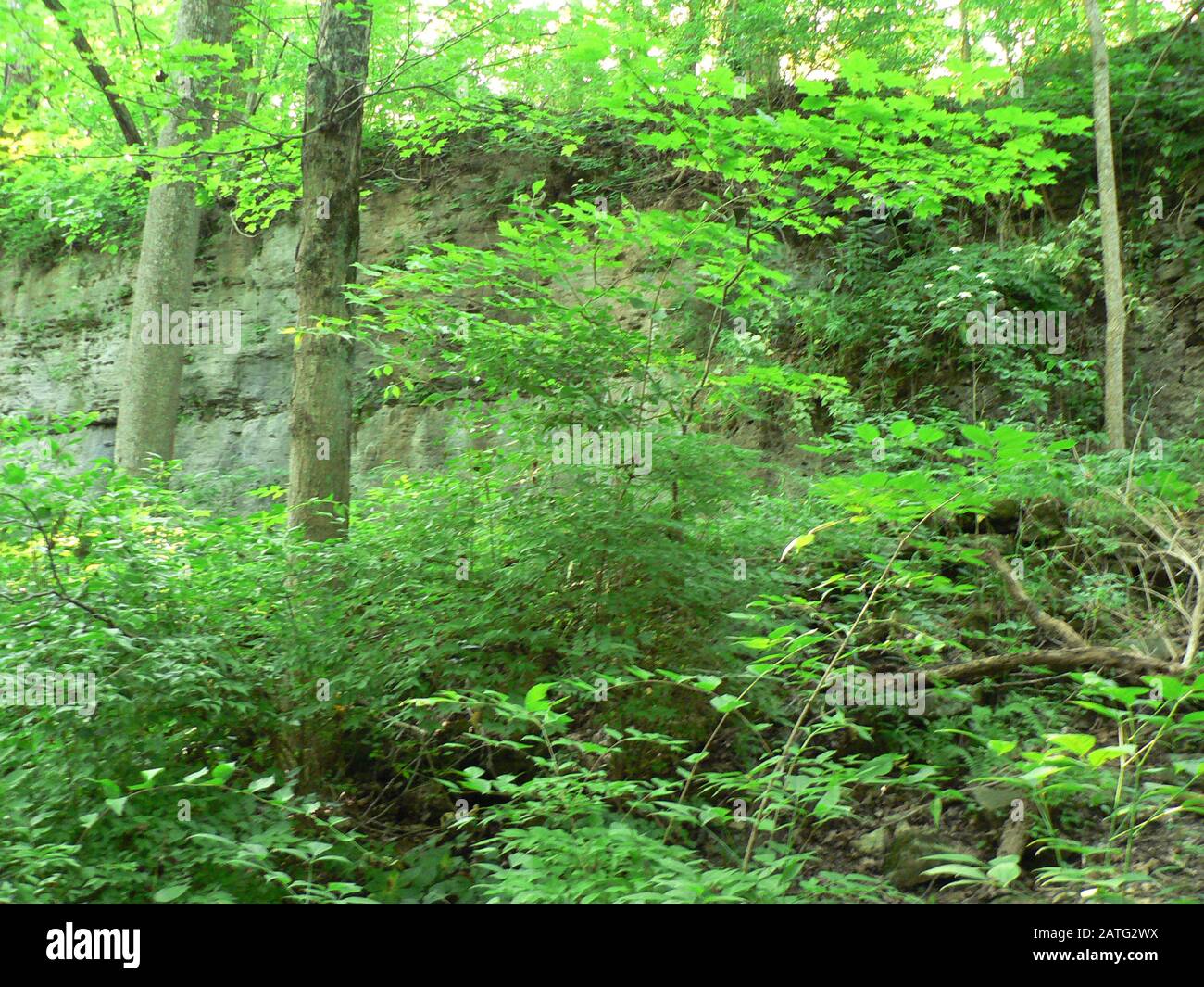 Cliff, John Bryan State Park, Ohio Stock Photo - Alamy