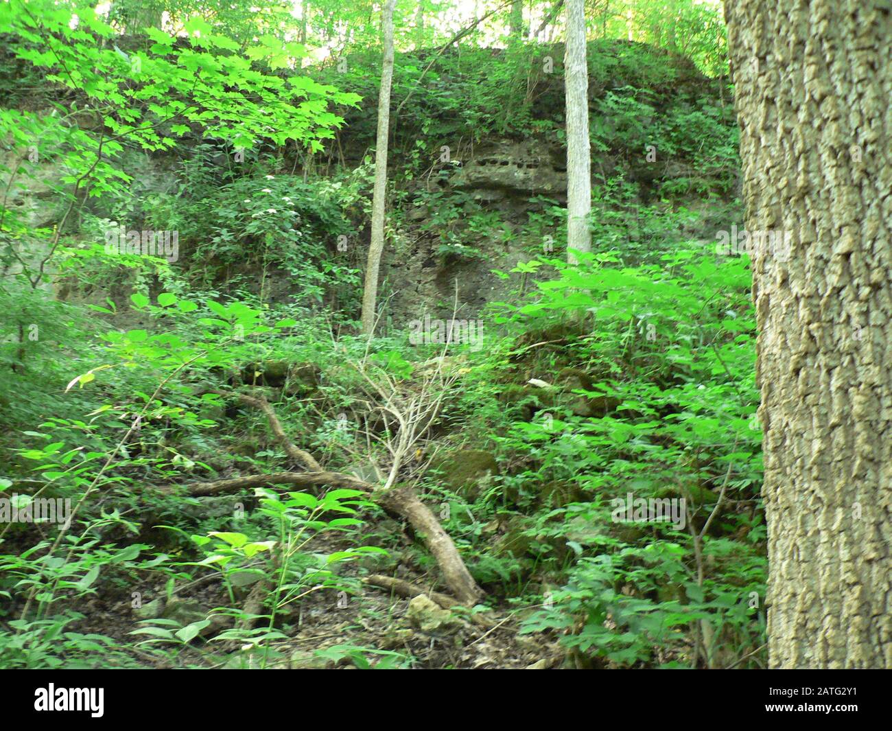 Cliff, John Bryan State Park, Ohio Stock Photo - Alamy