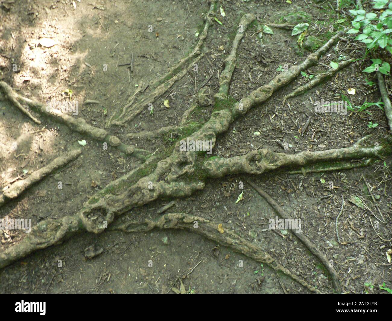 John bryan state park ohio hi-res stock photography and images - Alamy