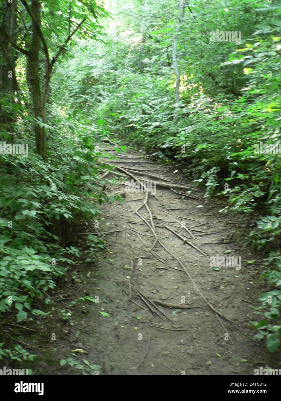 John Bryan State Park, Ohio Stock Photo - Alamy